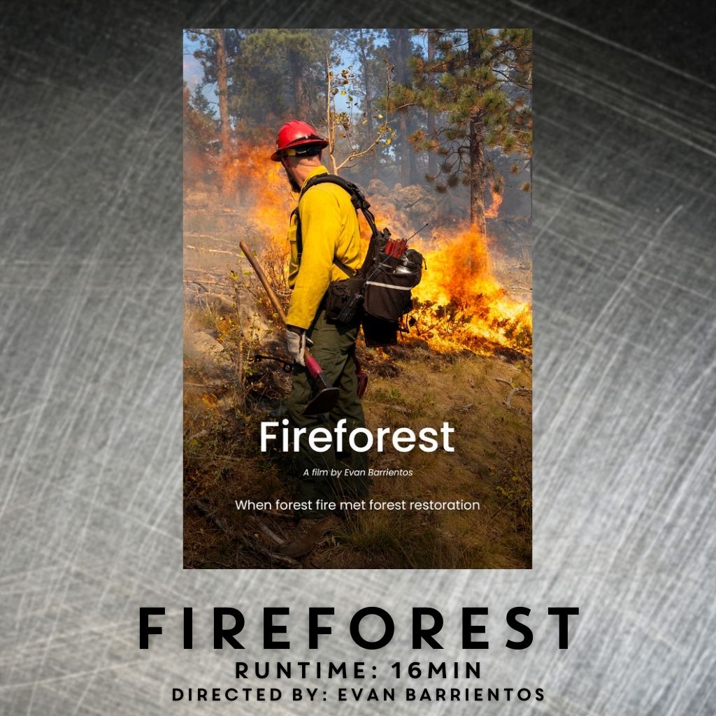 Fireforest - Pueblo Film Fest